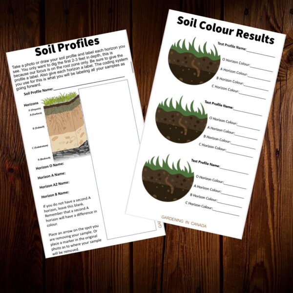 How To Know If You Have A Clay Soil - Gardening In Canada