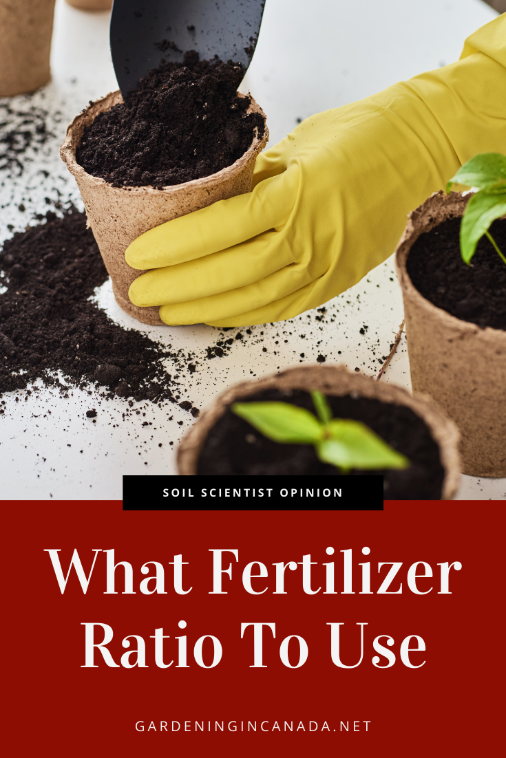 What Fertilizer Ratio Should You Use When? | Gardening In Canada