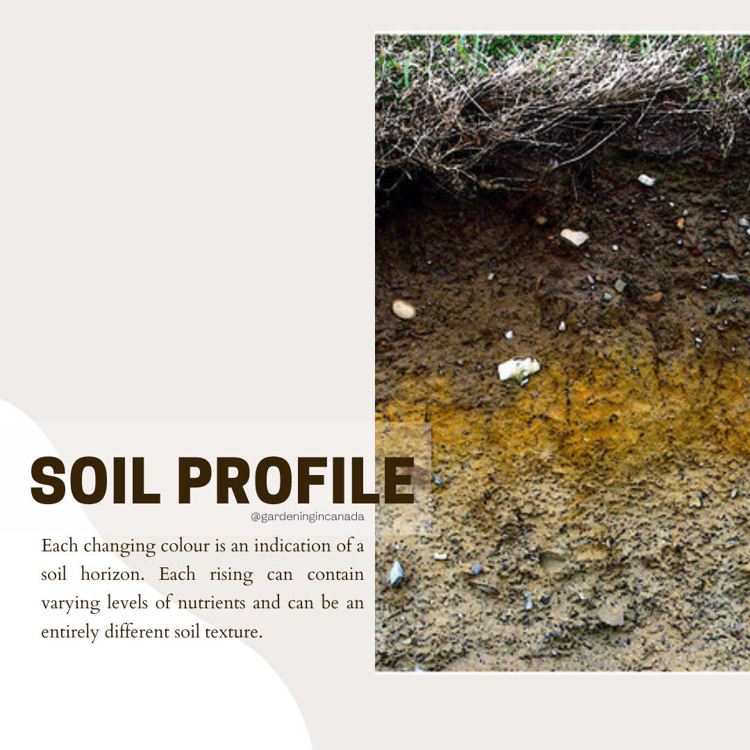 Soil Colour Testing For Garden Soil | Gardening In Canada