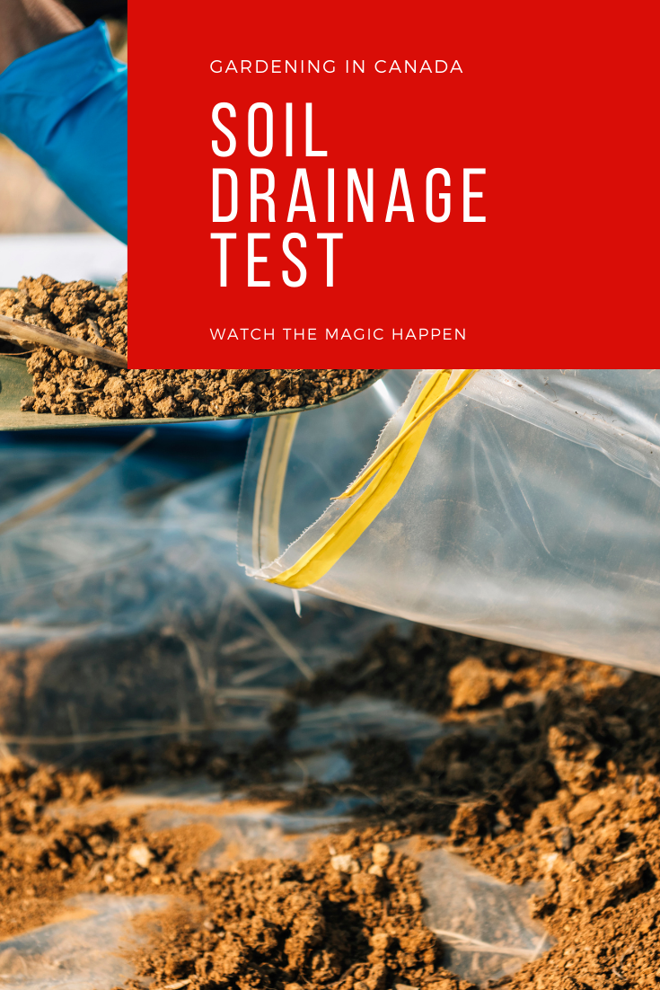Garden Soil Percolation Test - Drainage Speed | Gardening In Canada