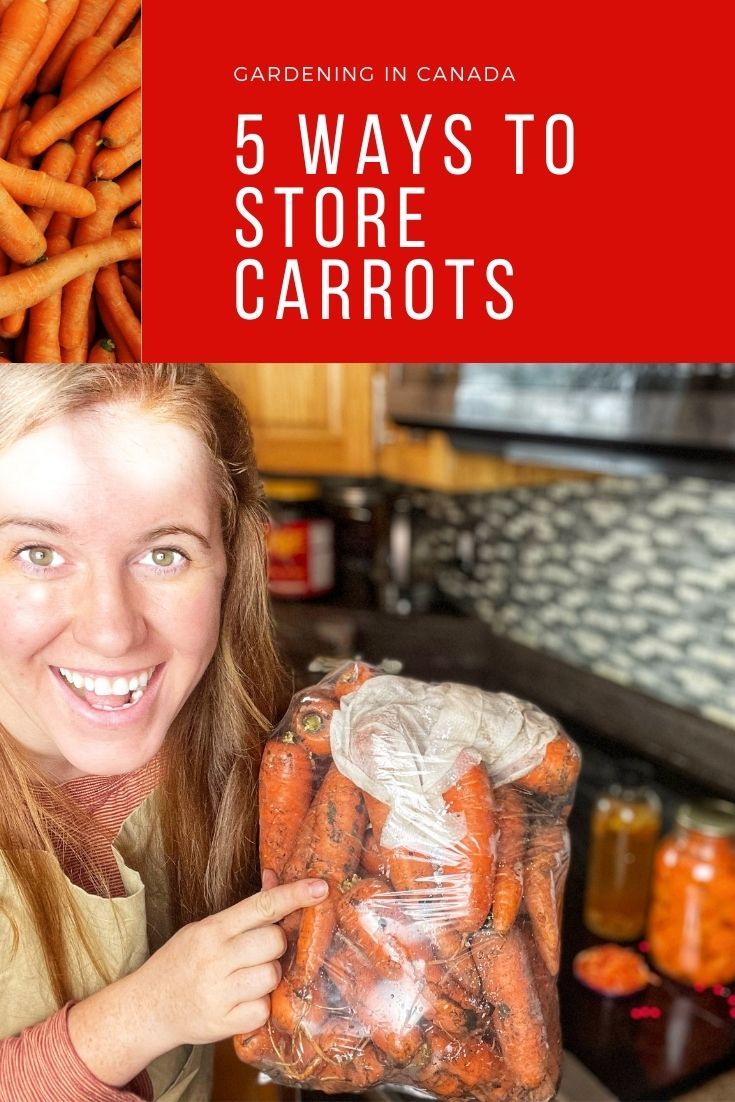 5 Proven Ways to Store Garden Carrots for Long-Term Freshness ...