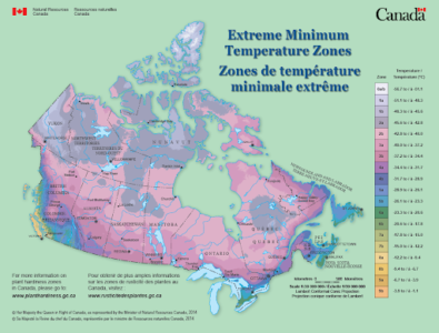 Canada's Growing Zones Are Changing 2024 | Gardening In Canada